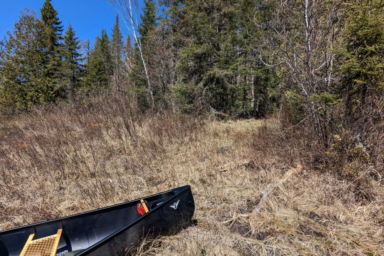 Ranger Lake / Algoma Headwaters - Caffeinated Fly FisherCaffeinated Fly ...