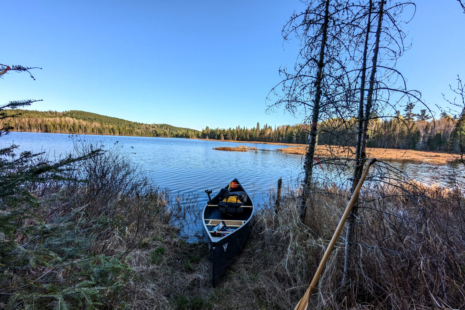 Ranger Lake / Algoma Headwaters - Caffeinated Fly FisherCaffeinated Fly ...