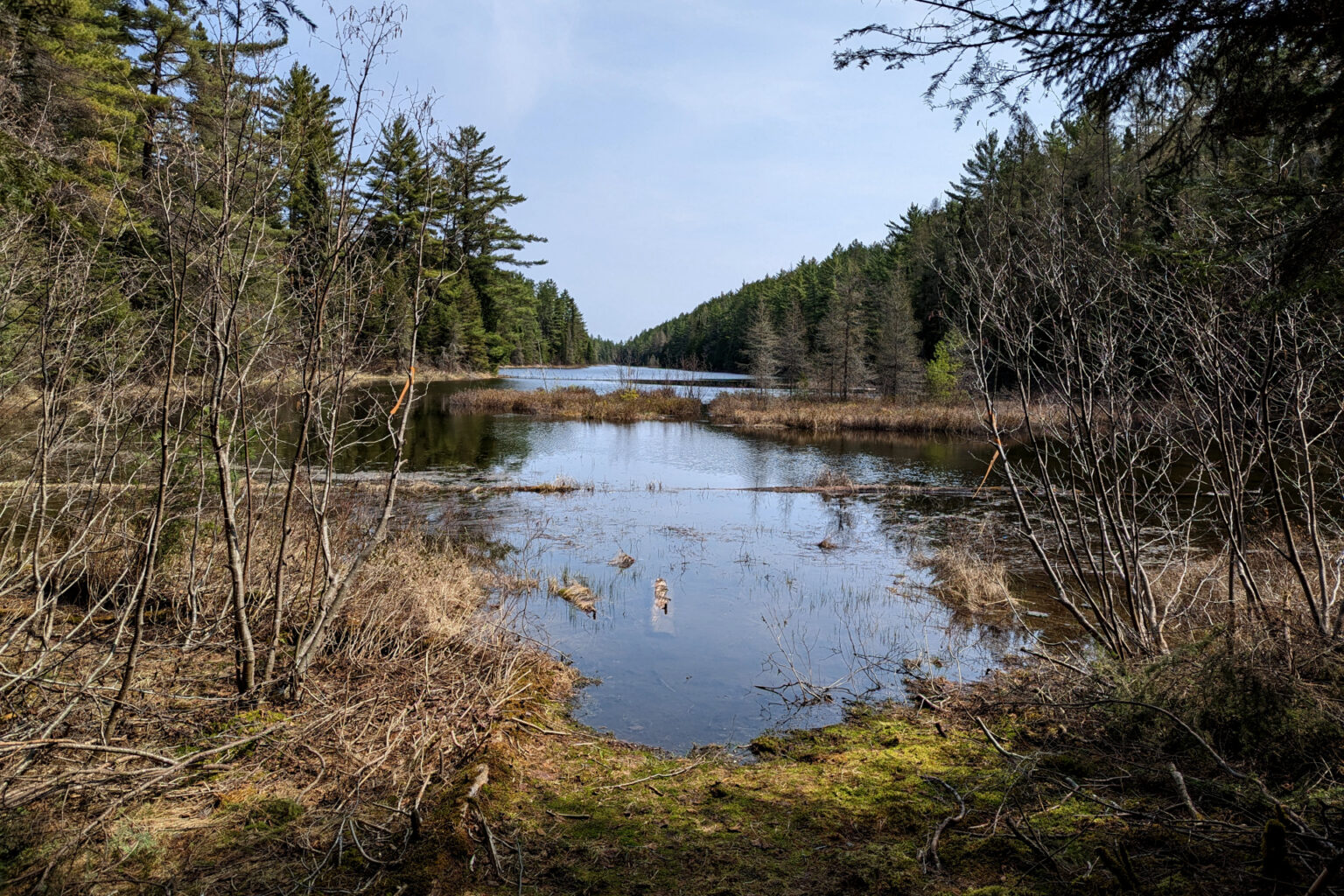 Ranger Lake / Algoma Headwaters - Caffeinated Fly FisherCaffeinated Fly ...