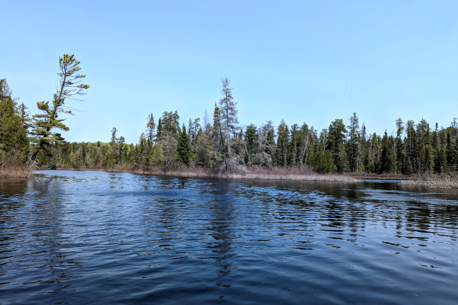 Ranger Lake / Algoma Headwaters - Caffeinated Fly FisherCaffeinated Fly ...