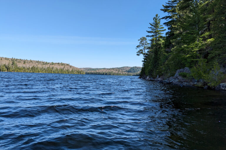 Ranger Lake / Algoma Headwaters - Caffeinated Fly FisherCaffeinated Fly ...